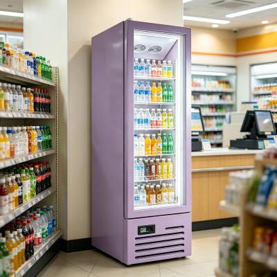 China Commercial Glass Door Freezer designed for food service operations with compartments cooling and easy maintenance features for sale