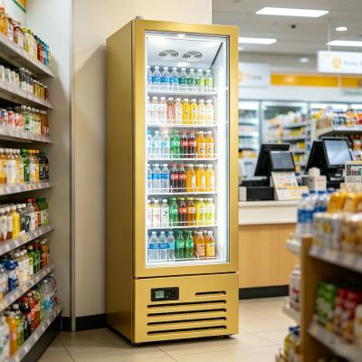 China Commercial Glass Door Freezer Featuring Durable Shelving and Easy Access Doors Supporting Stock Management in Grocery Stores and Cafes for sale