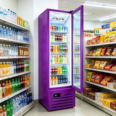 China Energy Saving Commercial Glass Door Freezer Ideal for Food Service Establishments Requiring Durable and Cooling Solutions for sale