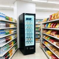 China Commercial Glass Door Freezer with Tempered Glass Doors, Ergonomic Handles, and R290a Refrigerant for High-Traffic Retail for sale