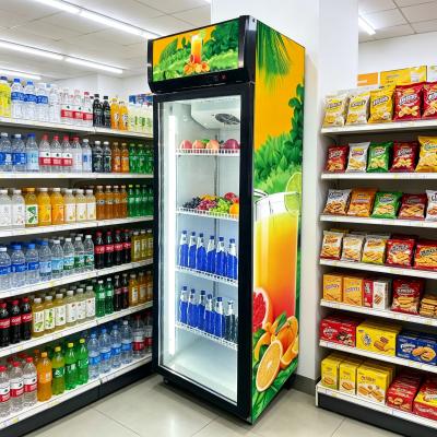 China Commercial Freezer with Static Cooling Swing Door and 330L Volume for Frozen Food Display for sale