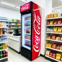 China 330L Capacity Commercial Display Refrigerator with High-Efficiency Cooling and Glass Door for sale