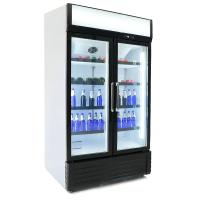 China 530L Capacity Glass Door Freezer with Static Cooling and Swing Glass Doors for Supermarket Display for sale