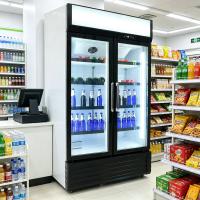 China 530L Capacity Glass Door Freezer with Static Cooling and Swing Glass Doors for Supermarket Display for sale