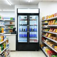 China 650L Capacity Commercial Freezer with Static Cooling System and Swing Door Design for Optimal Product Visibility for sale