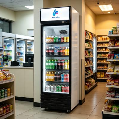 China Commercial Glass Door Freezer Upright Single Door Swing Design with Static Cooling for Retail and Supermarket Food Preservation for sale