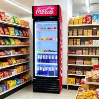 China 330L Volume Commercial Glass Door Freezer with Precision Control, and High-Efficiency Cooling for Optimal Food Storage for sale
