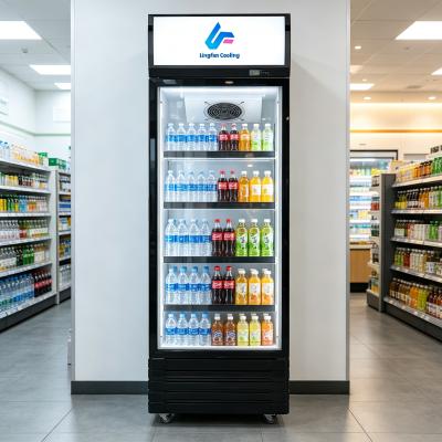 China 330L Capacity Commercial Glass Door Freezer with Static Cooling for Optimal Product Visibility for sale