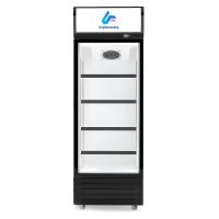 China 330L Capacity Commercial Glass Door Freezer with Static Cooling for Optimal Product Visibility for sale