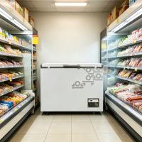 China 350L Ice Chest Freezer Energy Efficient Panel Control Commercial Chest Refrigerator for sale