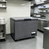 China 255L Volume Chest Freezer with Fast Cooling and Energy Efficient Technology for Commercial Use for sale
