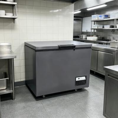 China 255L Volume Chest Freezer with Fast Cooling and Energy Efficient Technology for Commercial Use for sale