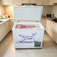 China Deep Frozen Chest Freezer with Direct Cooling and R290a Refrigerant for Commercial Refrigeration for sale