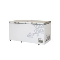 China 1150L Volume Commercial Freezer with Direct Cooling and High-Temp Resilience for Demanding Environments for sale