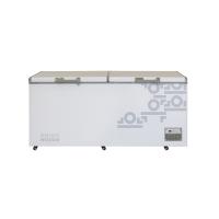 China 1150L Volume Commercial Freezer with Direct Cooling and High-Temp Resilience for Demanding Environments for sale