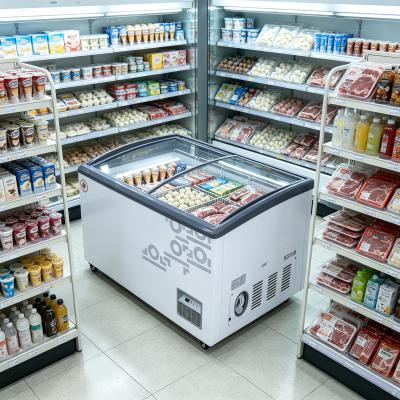 China Double Door Display Refrigerator with Tempered Coated Heat Reflective Glass Door and Aluminum-Plastic Inner Liner for sale