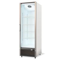 China Commercial Cabinet Freezer with Adjustable Shelves, Direct Cooling, and Stainless Steel Construction for sale
