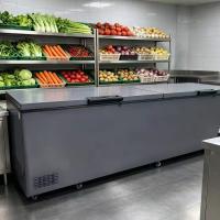 China Versatile Commercial Chest Freezer with Direct Cooling, R290a Refrigerant and 327-954 Liters Capacity for sale