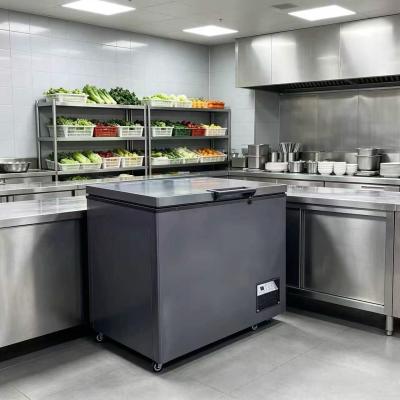 China 255 Liter Volume Chest Freezer with Refrigerant R290a and Ultra-wide Stable Freezing Temperature Control for sale
