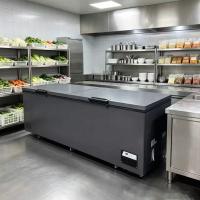 China Industrial Chest Freezer with Dual Door Design for Convenient Access and Frozen Food Preservation for sale