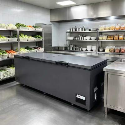 China Industrial Chest Freezer with Dual Door Design for Convenient Access and Frozen Food Preservation for sale