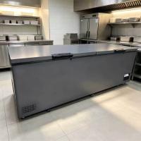 China Commercial Chest Freezer with Eco Friendly R290 Refrigerant, Direct Cooling System, and Wide Temperature Range for sale