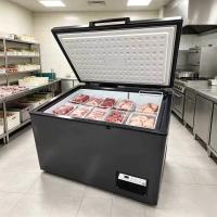 China 255L Capacity Chest Freezer with Direct Cooling and High Power Compressor for Commercial Food Storage for sale