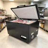 China 255L Capacity Commercial Chest Freezer with Eco Friendly R290a Refrigerant and Temperature Range -18°C to -23°C for sale
