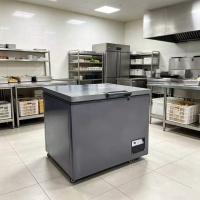 China 255 Liter Chest Freezer Stainless Steel Deep Freezer Minus 18 To Minus 23 Degrees Celsius for sale