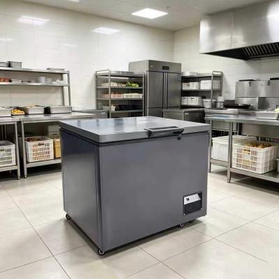 China 255 Liter Chest Freezer Stainless Steel Deep Freezer Minus 18 To Minus 23 Degrees Celsius for sale
