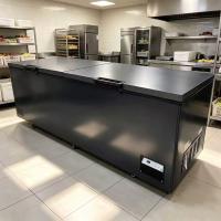 China R290a Energy Efficient Chest Freezer Low Carbon Customizable Outdoor Deep Freezer for sale