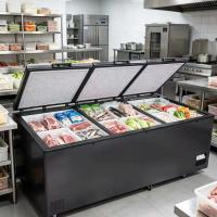 China ROHS 1451L Compact Chest Freezer For Garage Frozen Wide Temperature Range for sale