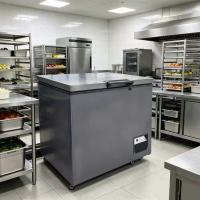 China 255 Liter Commercial Chest Freezer Cooling System 220V - 240V Compact Deep Freezer for sale
