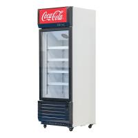 China Eco Friendly Display Glass Door Freezer 330L Beverage Storage Commercial Cooler for sale