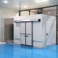 China Flexible Panel Walk In Freezer Epoxy Flooring Modular Cold Room Storage Construction for sale