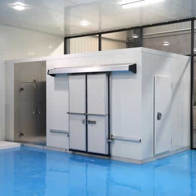 China Flexible Panel Walk In Freezer Epoxy Flooring Modular Cold Room Storage Construction for sale