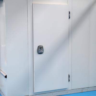 China Electric Automatic Sliding Cold Room Door with Good Air Tightness for Low Temperature Freezer Room for sale