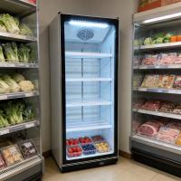 China Single Door Display Glass Door Freezer Vertical Beverage Milk Refrigerated Display Cooler for sale