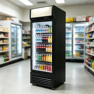 China Commercial Glass Door Beverage Cooler with LED Lighting and Digital Temperature Controller for Customizable Advertising for sale