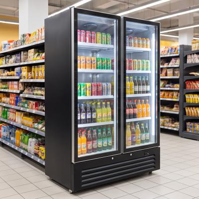 China Large 850L Volume Commercial Drink Cooler with Fog-Free Double Glass Door and Energy-Saving Compressor for sale