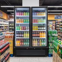 China Large 850L Volume Commercial Drink Cooler with Fog-Free Double Glass Door and Energy-Saving Compressor for sale