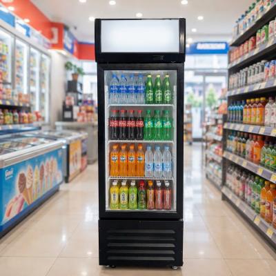 China Commercial Glass Door Beverage Cooler with Adjustable Shelves LED Lighting and Energy Efficient Design for sale