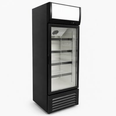 China Commercial Beverage Cooler with 2000L Volume R290a Refrigerant and Adjustable Shelves Display Glass Door Freezer for sale