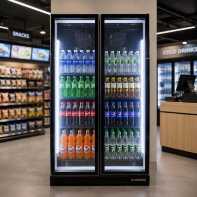 China Commercial Glass Door Cooler with Eco-Friendly R290a Refrigerant, LED Interior Lighting, and Automatic Defrost for sale