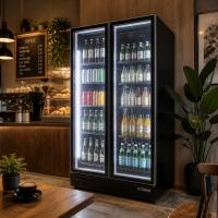 China Double Door Commercial Beverage Cooler with LED Lighting and Digital Controller Display Glass Door Freezer for sale