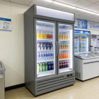 China Commercial Beverage Display Refrigerator with Flexible Shelf Arrangement and LED Interior Lighting in Double Glass Door Cooler for sale