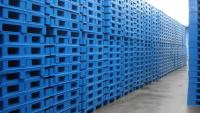 China Hand Lift and Electric Forklift Compatible Euro HDPE Plastic Pallet with Custom Logo for sale