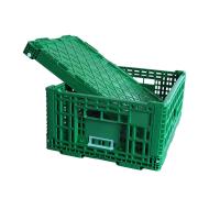 China Plastic Crates for Fruits and Vegetables Style Mesh Temperature Resistance -25°C to 60°C for sale