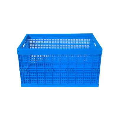 China Customizable Design PP Turnover Folding Boxes for Agriculture Custom Order for sale