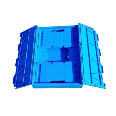 China Plastic Crates for Storing Vegetables Foldable Design 560*360*260 Internal Size for sale